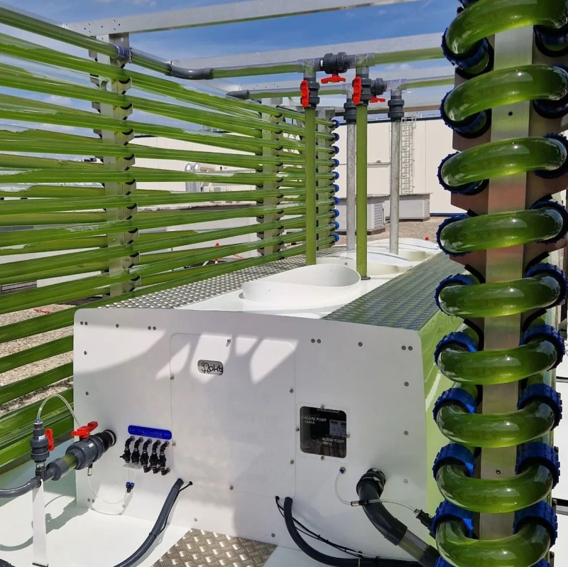 Data4 занялась выращиванием водорослей в ЦОД